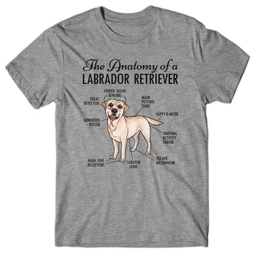 Anatomy of a Labrador Retriever T-shirt – Dogs Corner